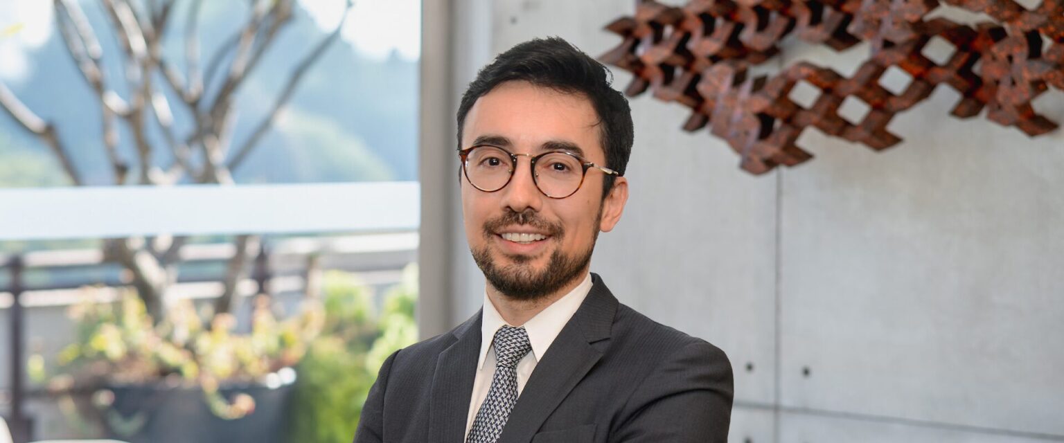 Professionals - Demarest