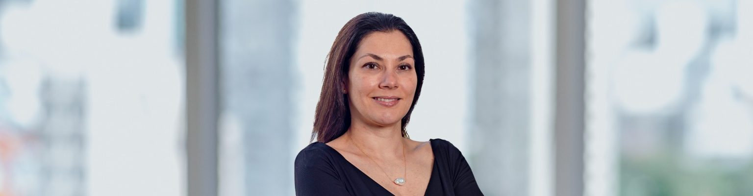 Profissionais - Demarest