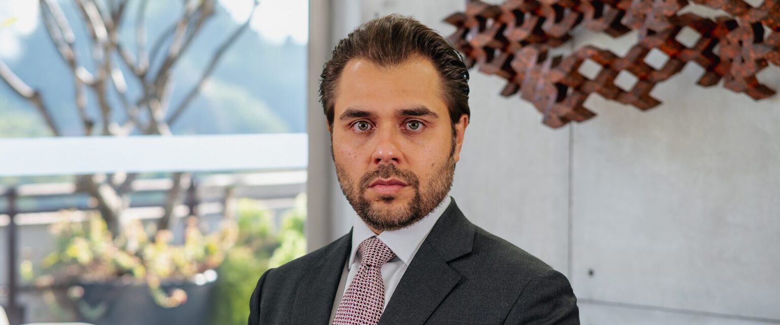 Professionals - Demarest