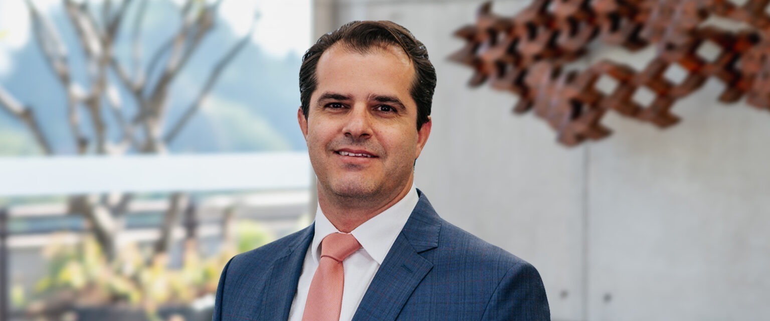 Professionals - Demarest