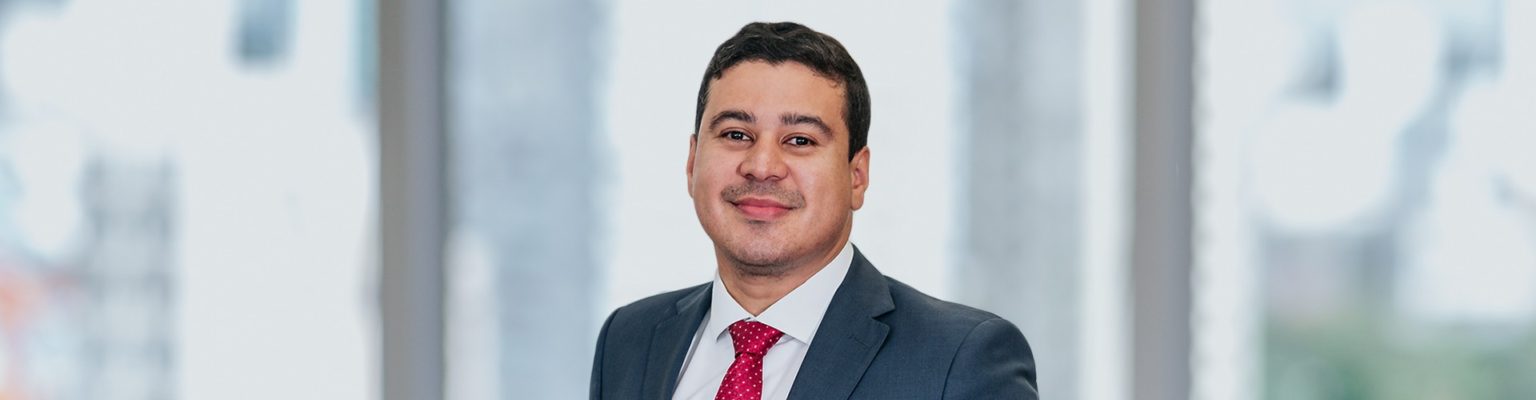 Profissionais - Demarest